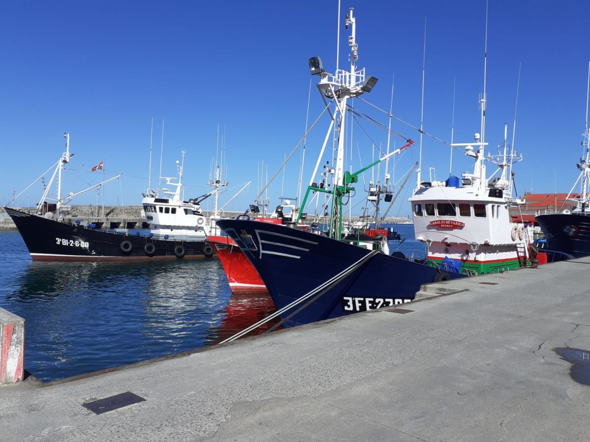 Tres barcos de Canarias podrán pescar especies altamente migratorias