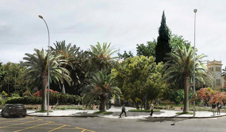 Cambios en las obras del Viera y Clavijo para acoger el nuevo ...